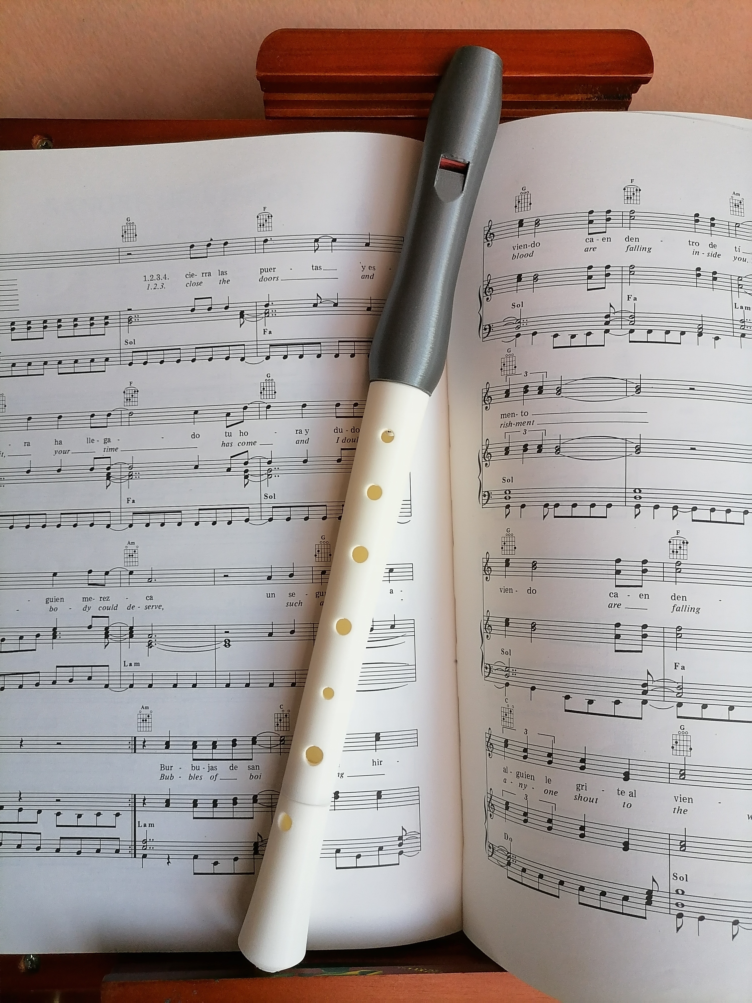 Do it yourselft (DIY) recorder – Design and Printing